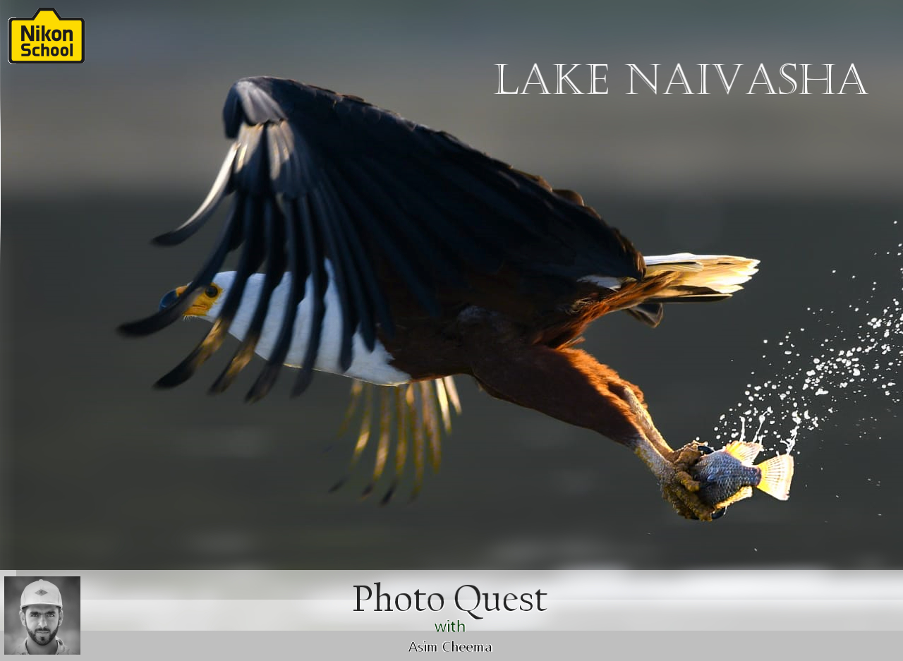 BIRD PHOTOGRAPHY by Asim Cheema